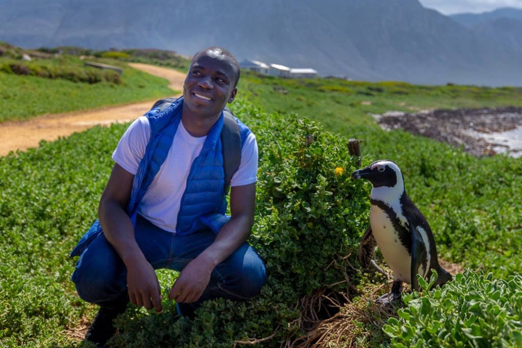 Whales, Sharks, and Penguins: Biogeography Field Class in South Africa ...