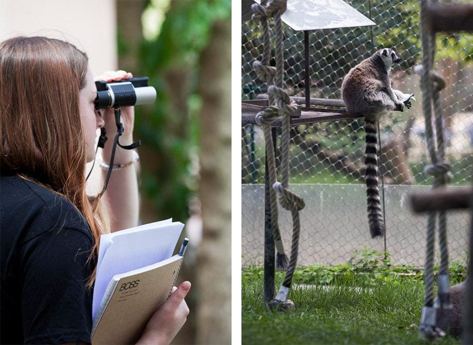 Biology Field Lab at Jardim Zoologico in Lisbon, Portugal | Semester at Sea
